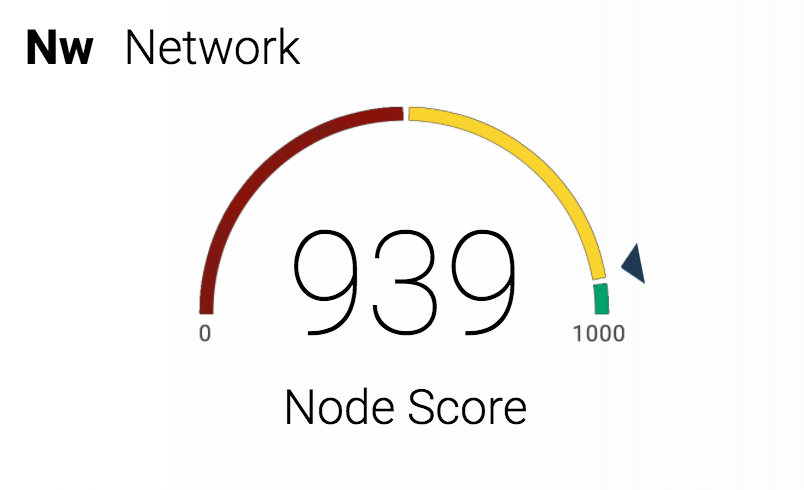 Network Score – IGI / Nodeware